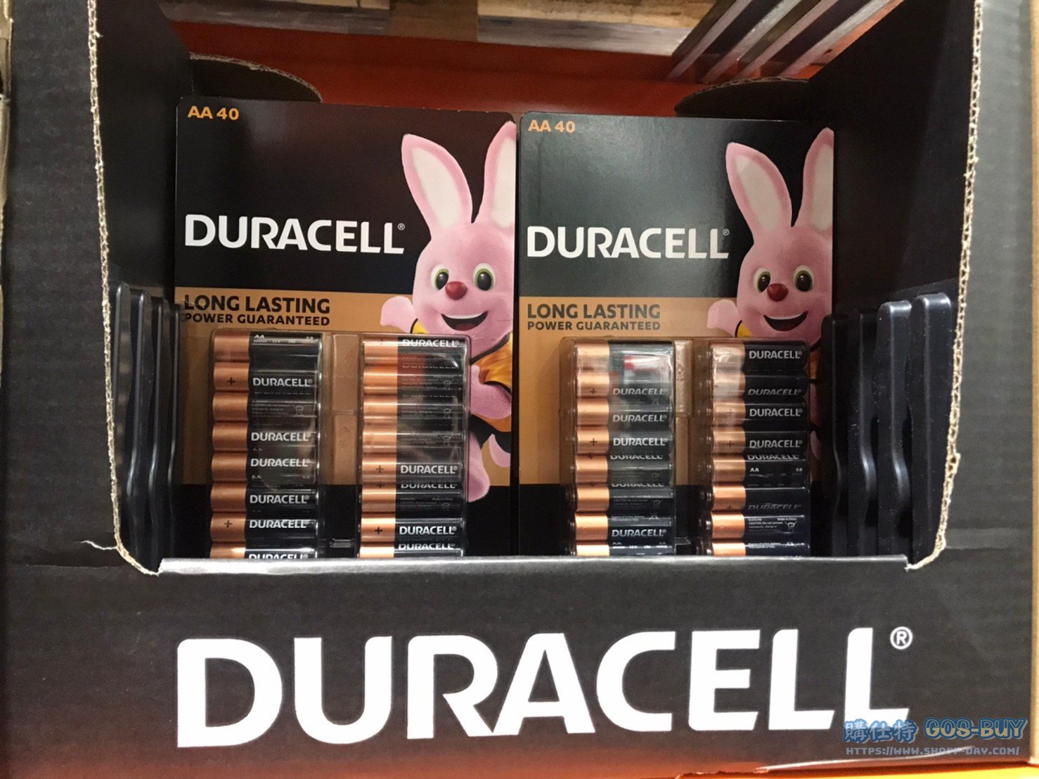 Costco好市多 DURACELL金頂鹼性電池三號電池40顆#1012891